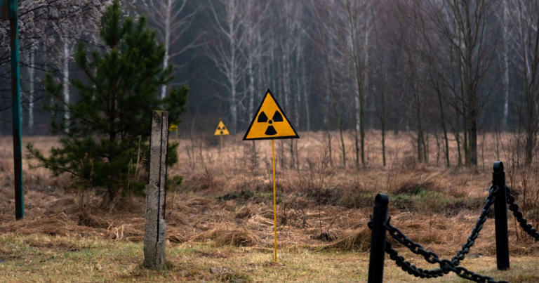 Dogs living around the Chernobyl nuclear power plant disaster are ...