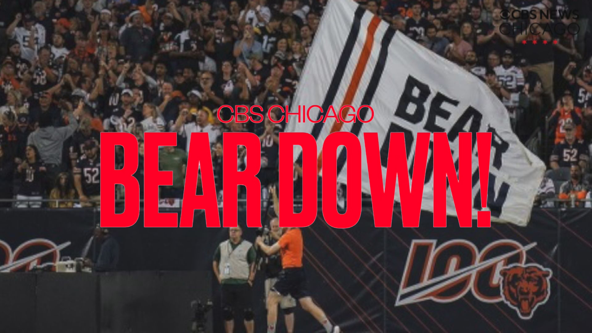 Bear down at the WGN Flag Company