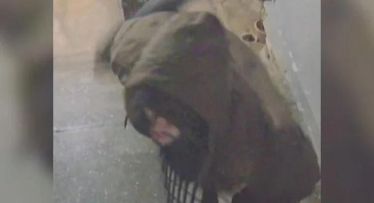 Officer-involved shooting after package theft leaves suspect at large