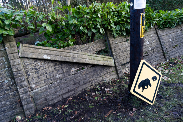 Woman installs 'bear warning' signs to stop drivers from crashing into home