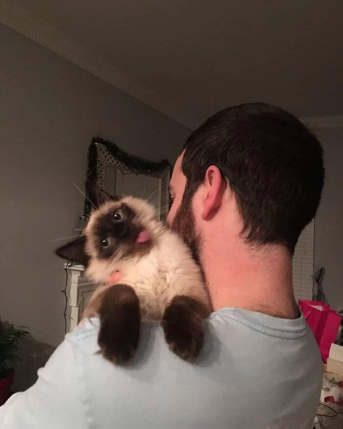 50 absurd, chaotic, and hilarious photos from the ‘Cat Virus.exe’ page