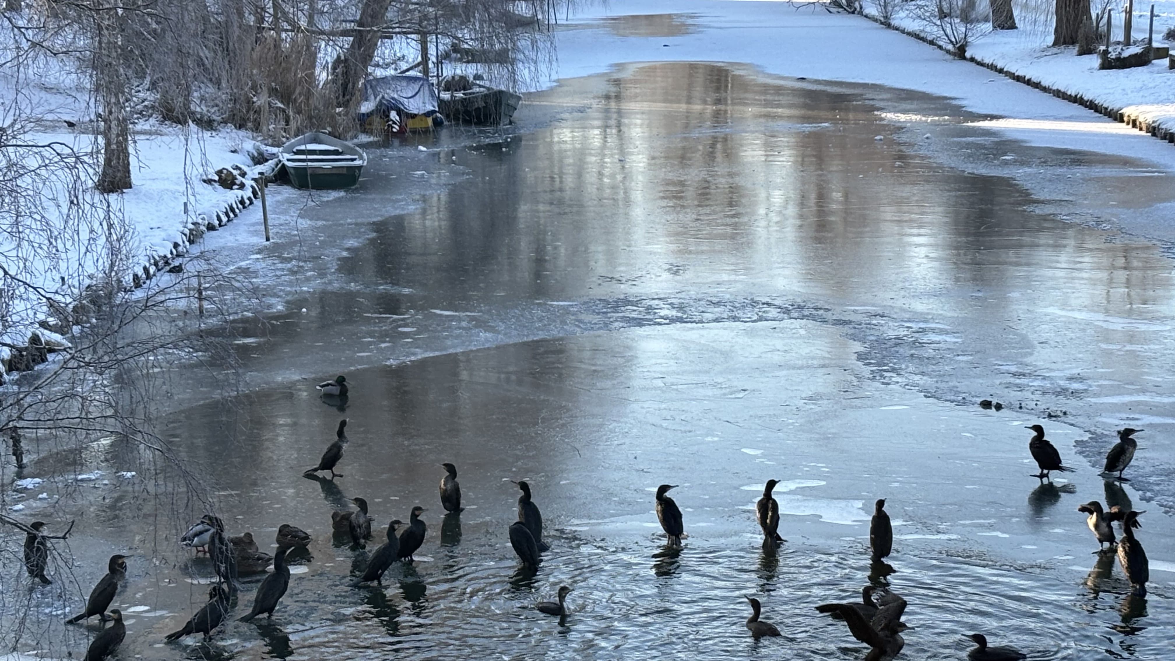Winter in Beeskow: Zugefrorene Spree ist gefährlich, Feuerwehr schafft ...