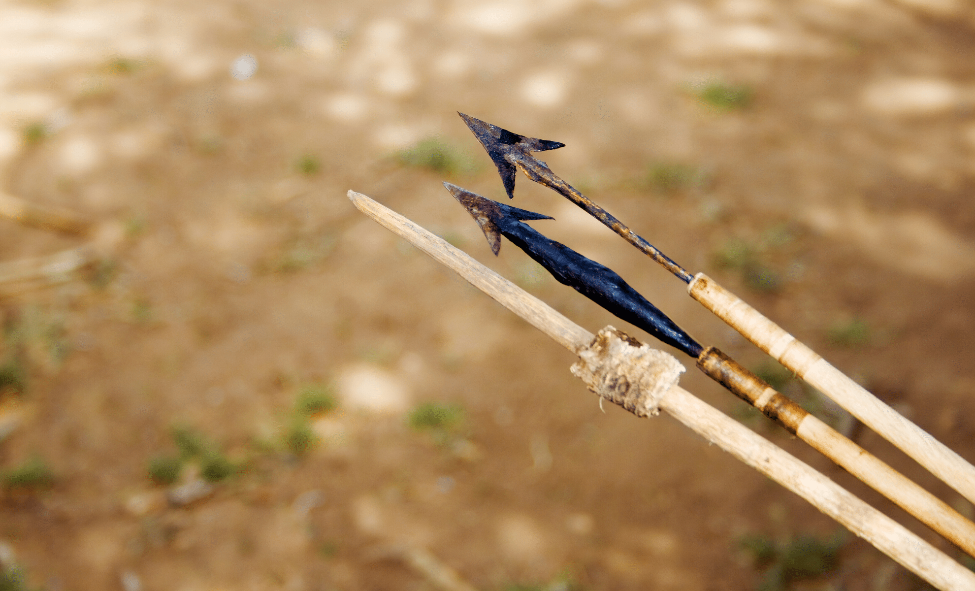 60,000-year-old poisoned arrows found in Africa reveal ancient human ...
