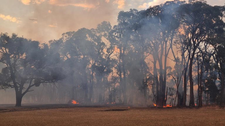 'Catastrophic' fire warning for Victoria as out-of-control bushfires grow