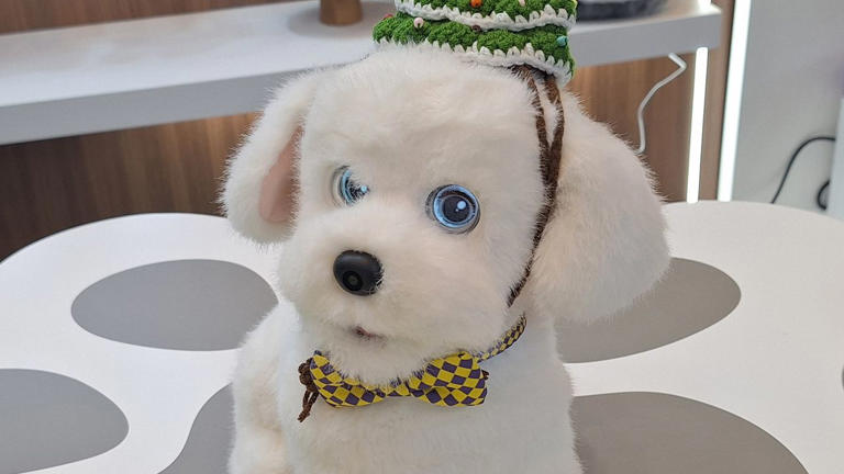 Ecovacs let me play with its intelligent, animatronic dog at CES, and ...