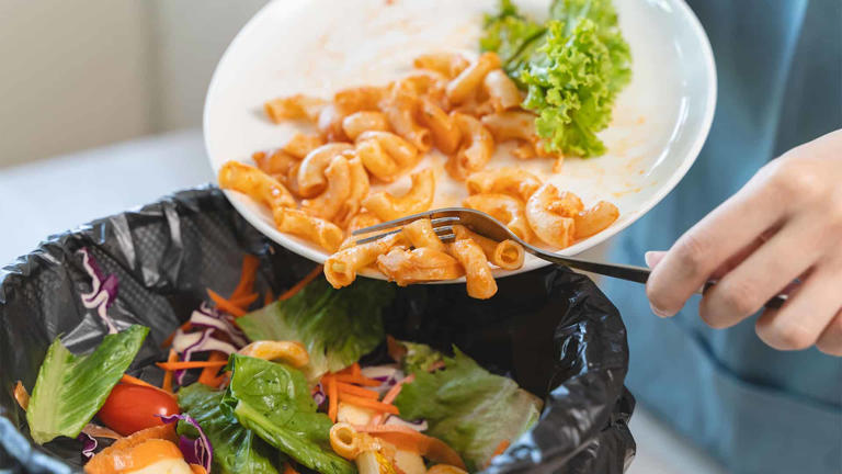 Woman wonders if she overreacted after throwing away dinner her family ...