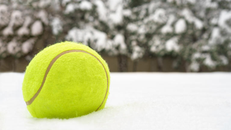The affordable item that offers birds a safe, grippable perch in winter