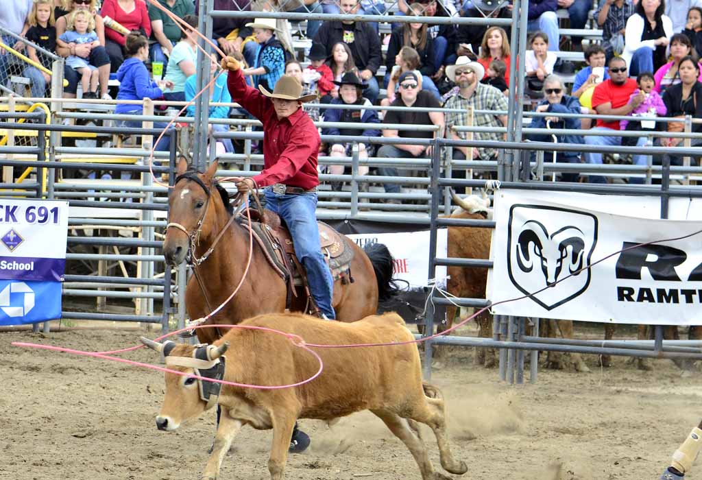 Opinion: Rodeo is a carefully regulated display of skills needed to ...