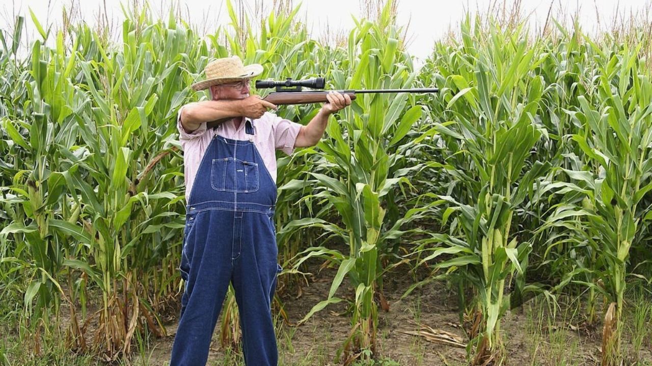 The practical rifle features that matter more than brand names on rural ...