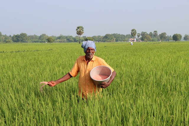 CF Industries Holdings, Inc. (CF) expands ammonia strategy amid analyst ...