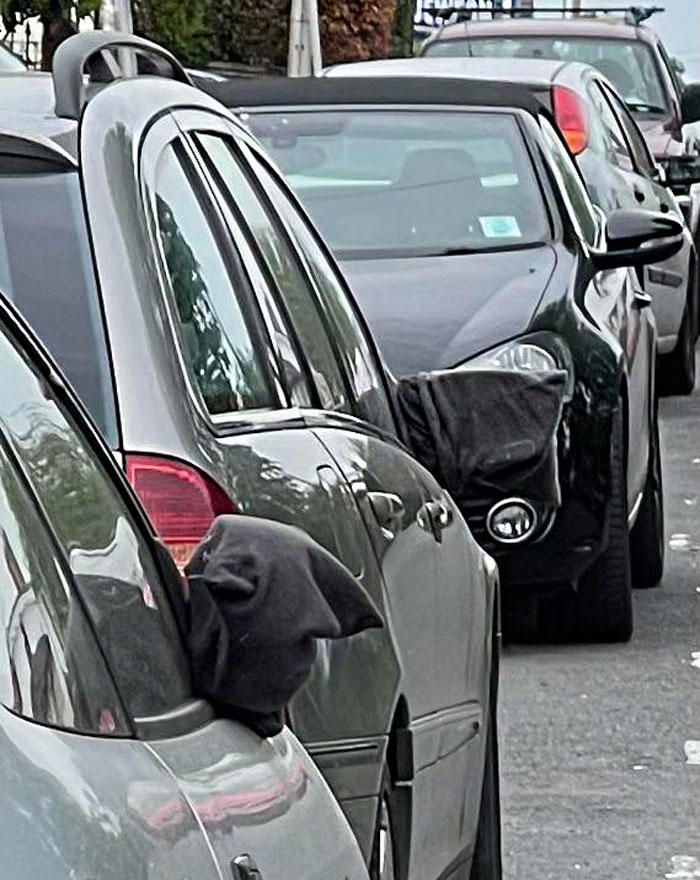 49 times people had no clue what they were looking at, but the internet ...