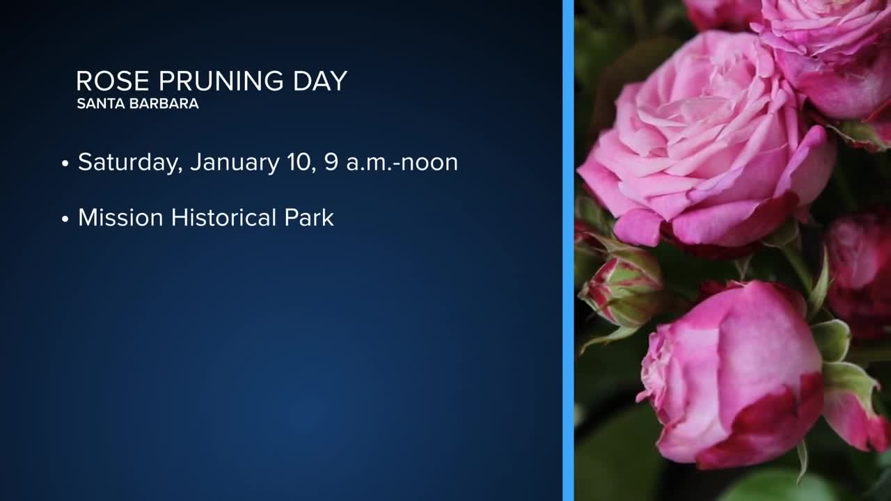 From honoring our past to celebrating the new year ahead, here are 6 ...