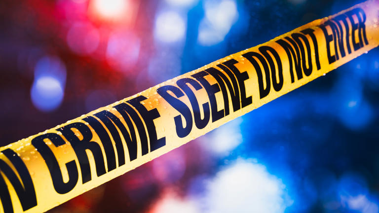 Suspect in deadly N Georgia house fire killed in crash following chase ...