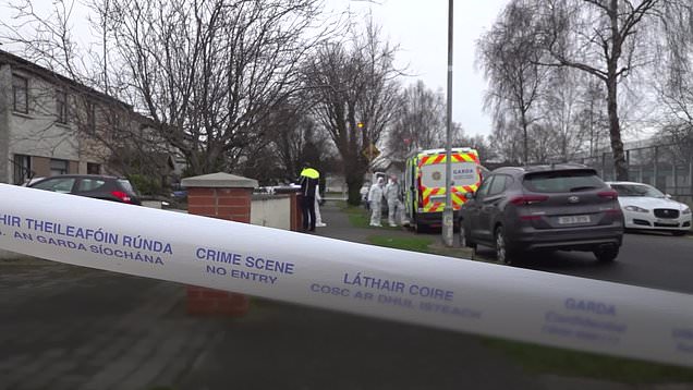 Bodies of boy and man removed from separate Dublin homes