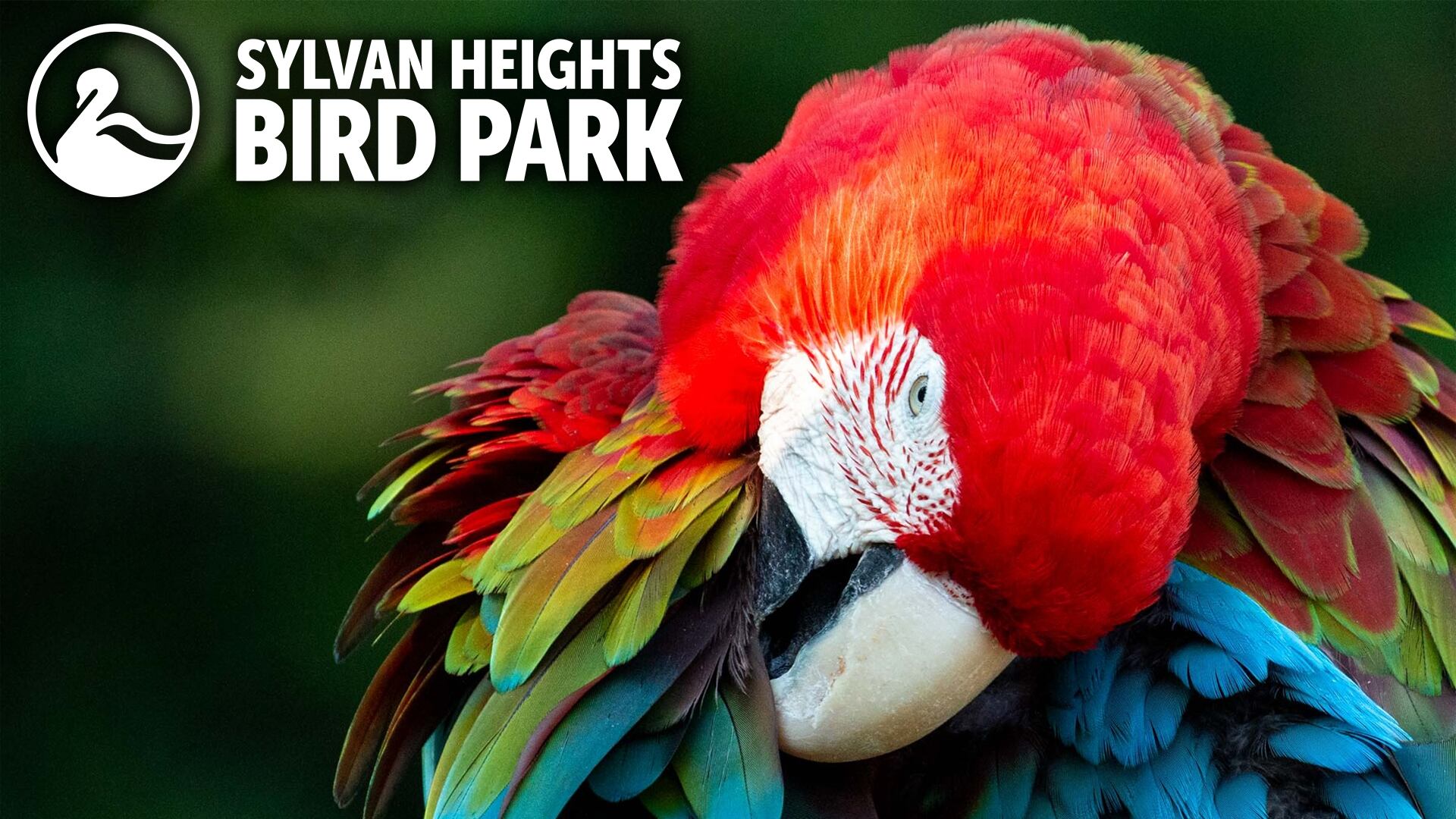 Sylvan Heights Bird Park’s oyster roast coming up this month