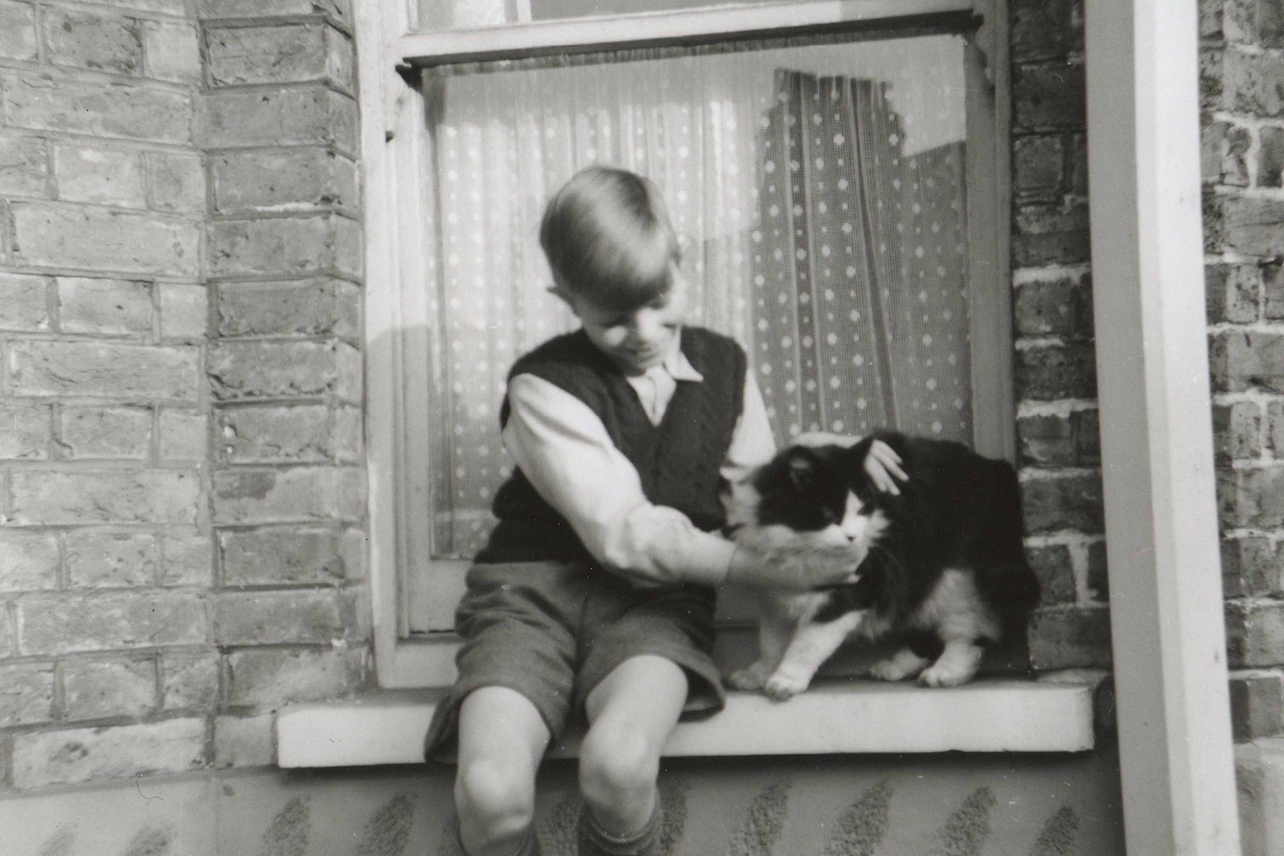 David Bowie's childhood home to be restored and opened to the public