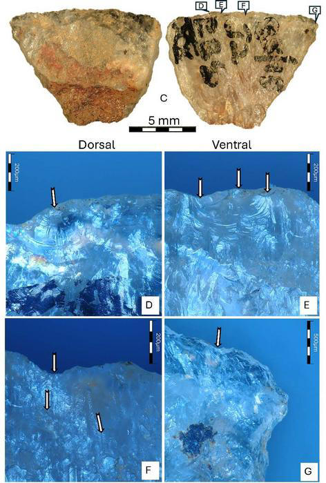 60,000-year-old poisoned arrows found in Africa reveal ancient human ...