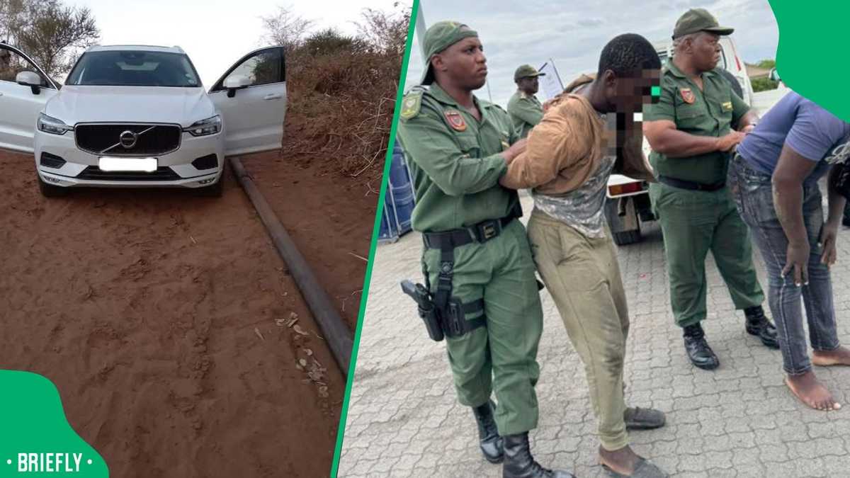 Border security under scrutiny after shootout in Limpopo, illegal ...