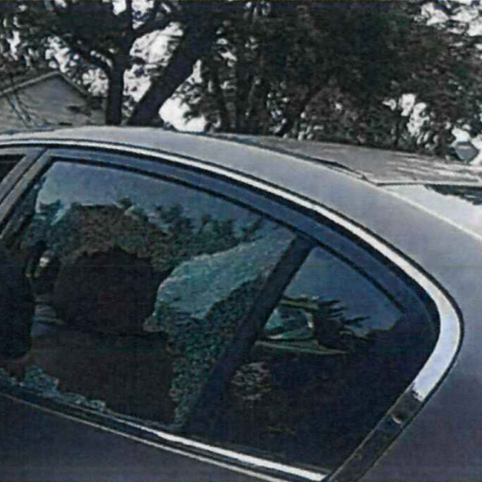 ICE officer who shot woman in Minneapolis was dragged by a car in June ...