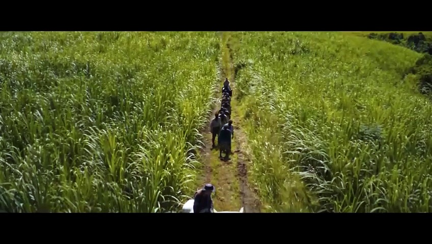 « Furcy, né libre » : la bande-annonce du film d'Abd Al Malik