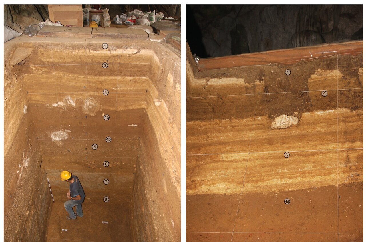 Deep Sulawesi cave dig could reveal overlap between extinct humans and us