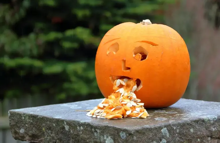 Unusual phobias that feel absurd - until you experience them