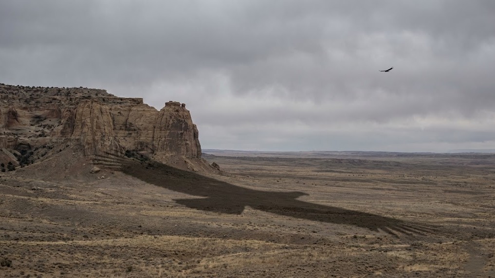 The giant bird of Native American legend