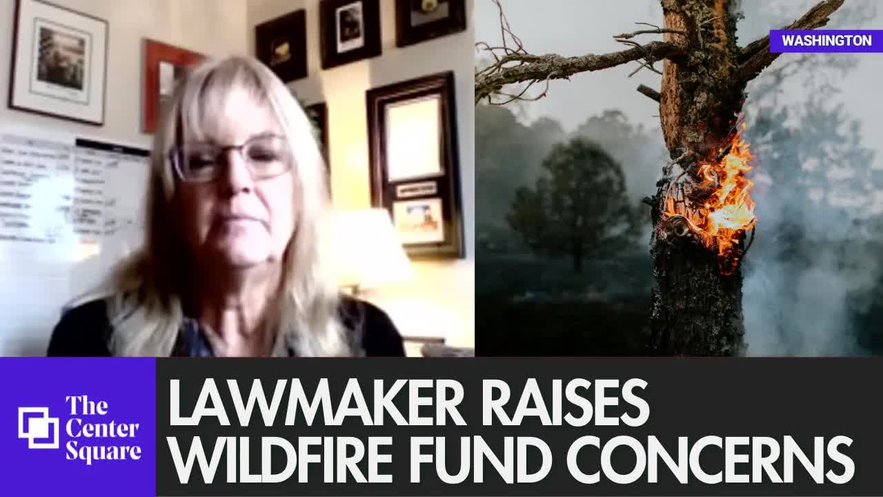 Lawmaker warns wildfire fund could raise energy costs statewide