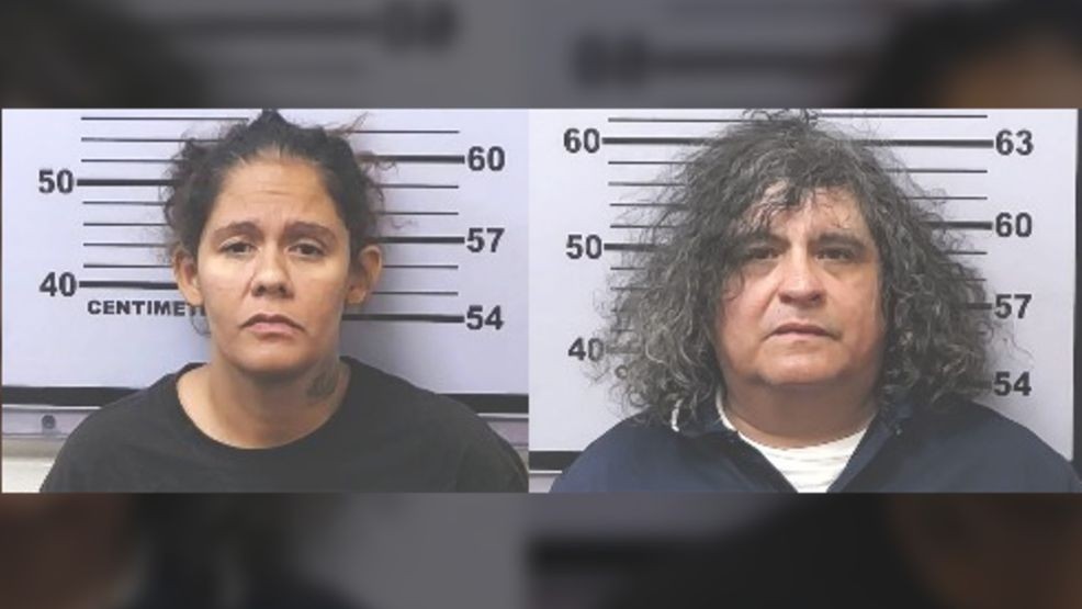 MCSO: 14-year-old girl found living alone with 7 dogs in squalor ...