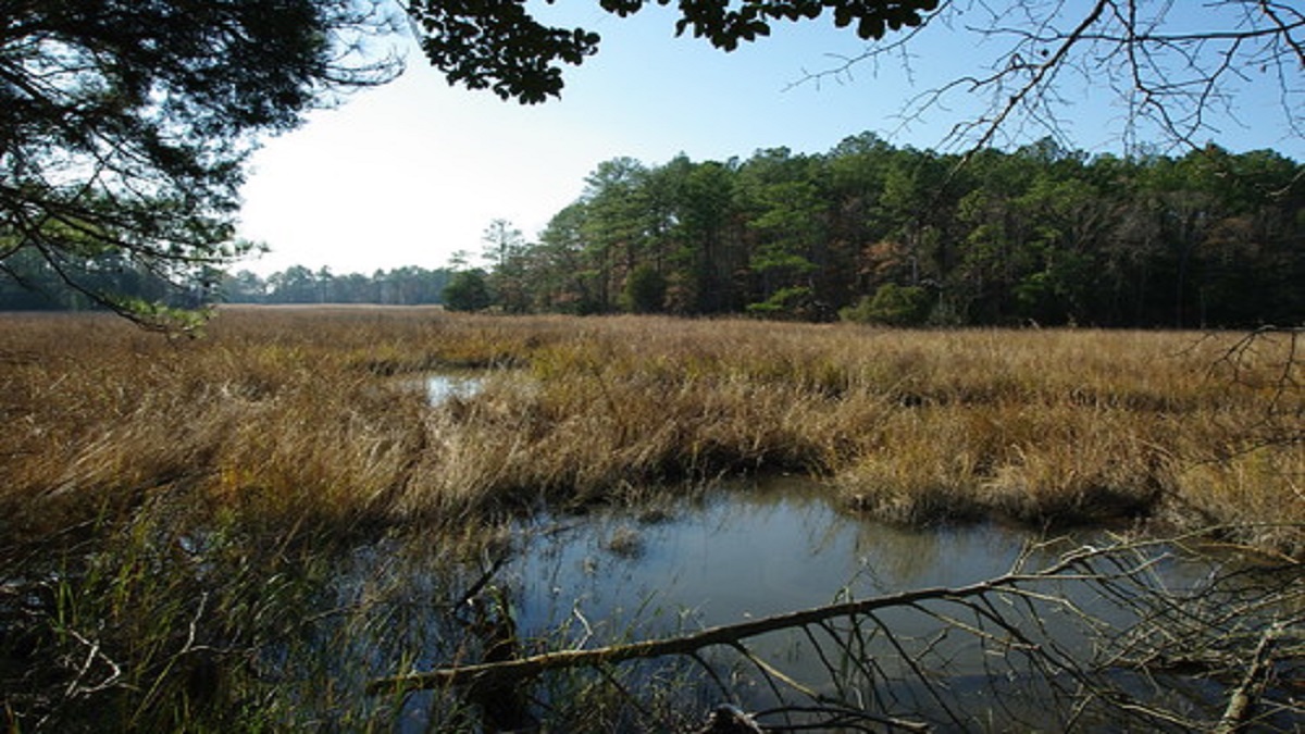 Calvert, St. Mary's secure conservation funding