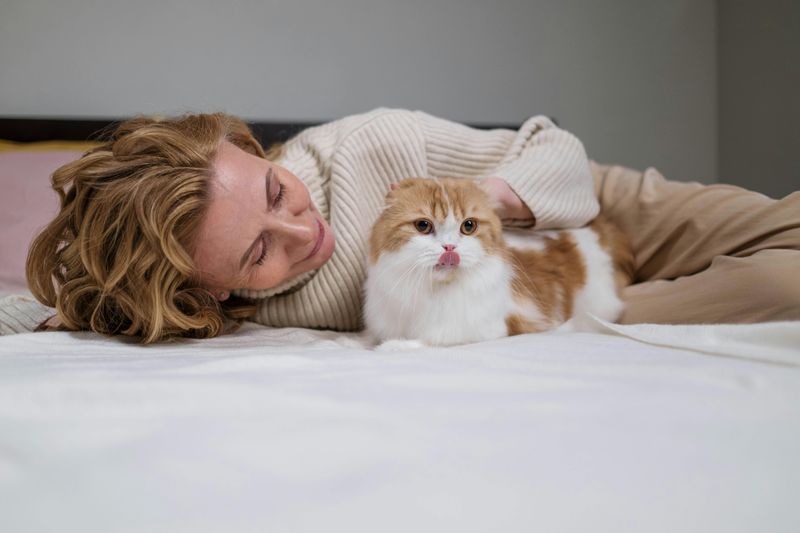 Things you only know if you’re a cat owner