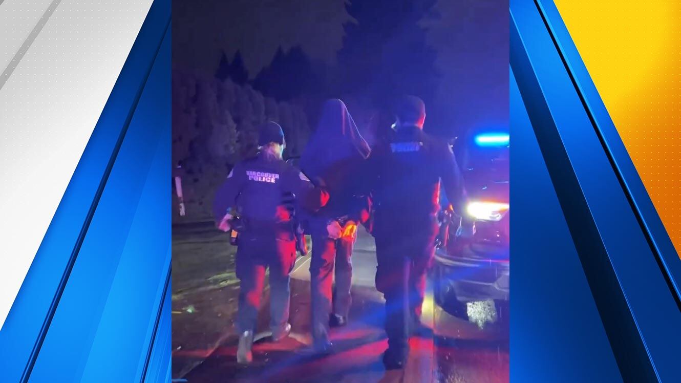 Caught on camera: Vancouver police arrest accused serial burglar