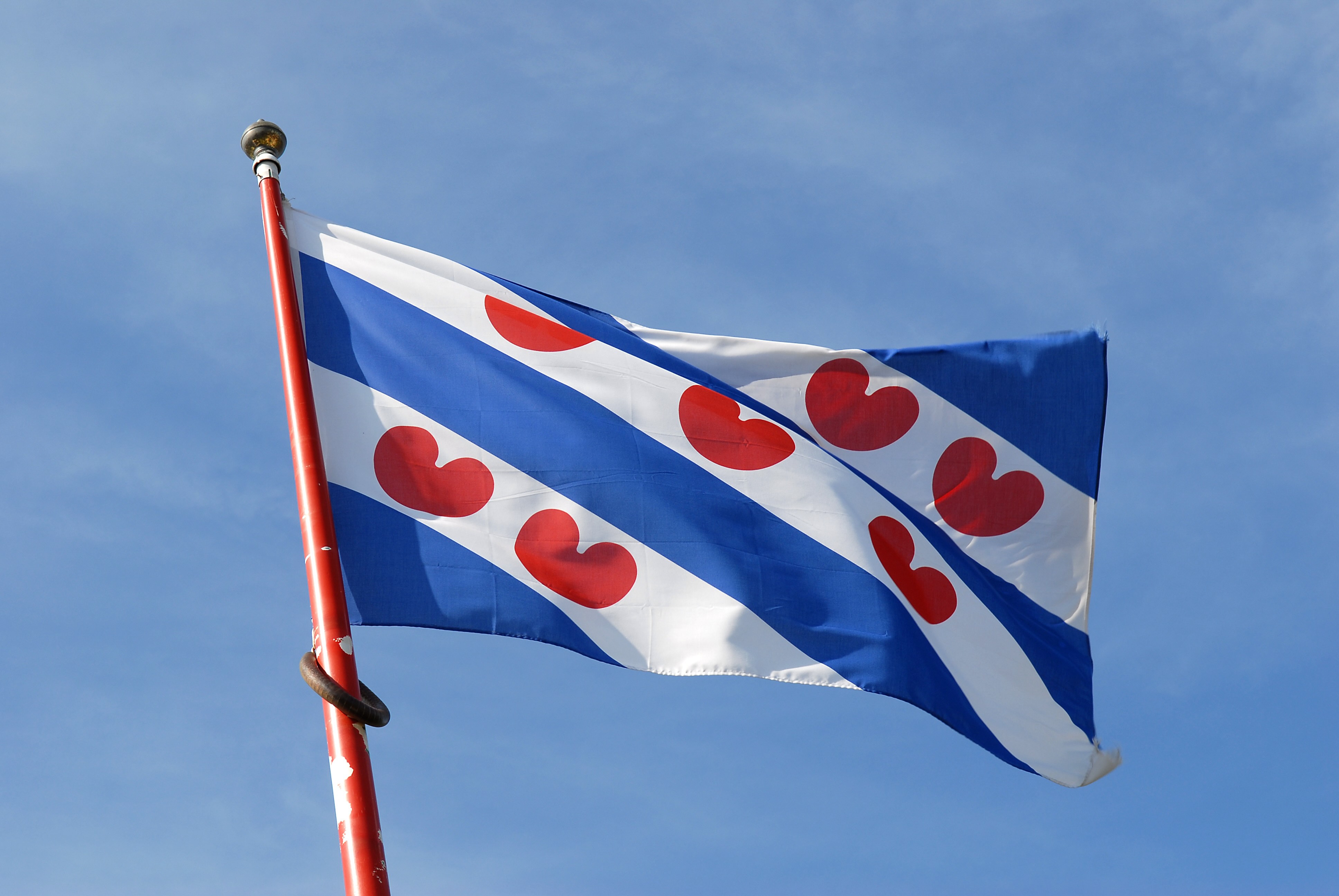 Geen hartje, maar wat dan wel? Dit betekent het symbool op de Friese vlag