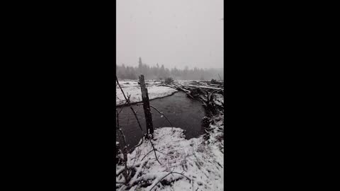 US: Winter storm warning issued for several counties, WA