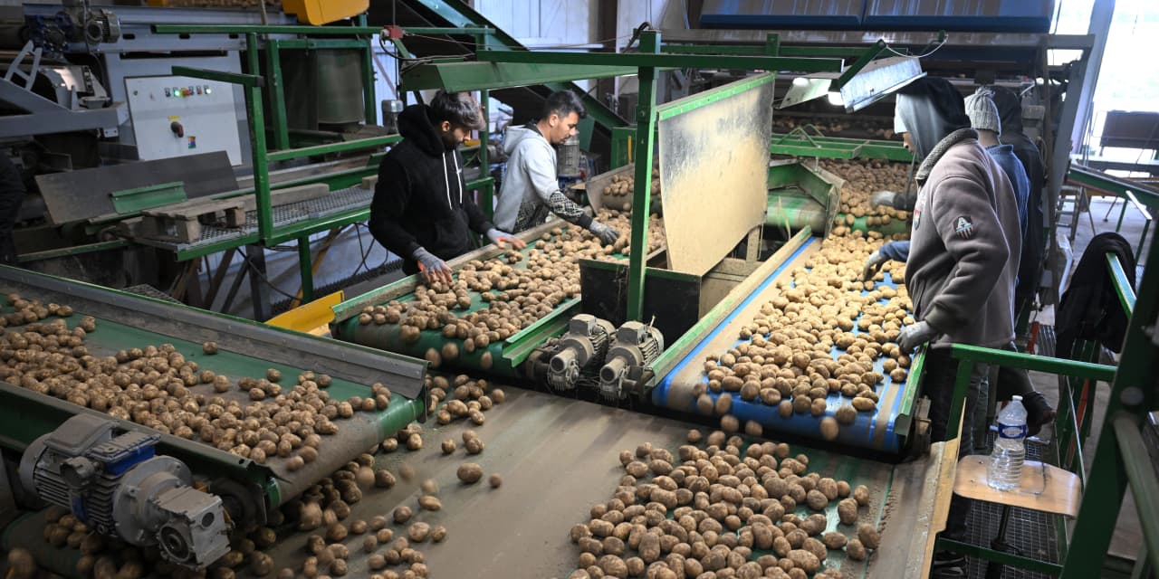 Trade deficit plunges to 16-year low due to US gold rush and shrinking ...