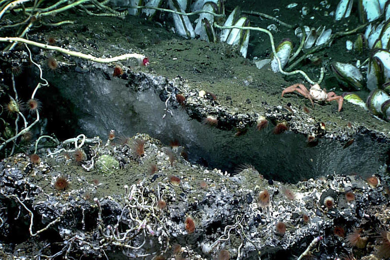 Methane chasers: Hunting a climate-changing gas seeping from Earth’s ...