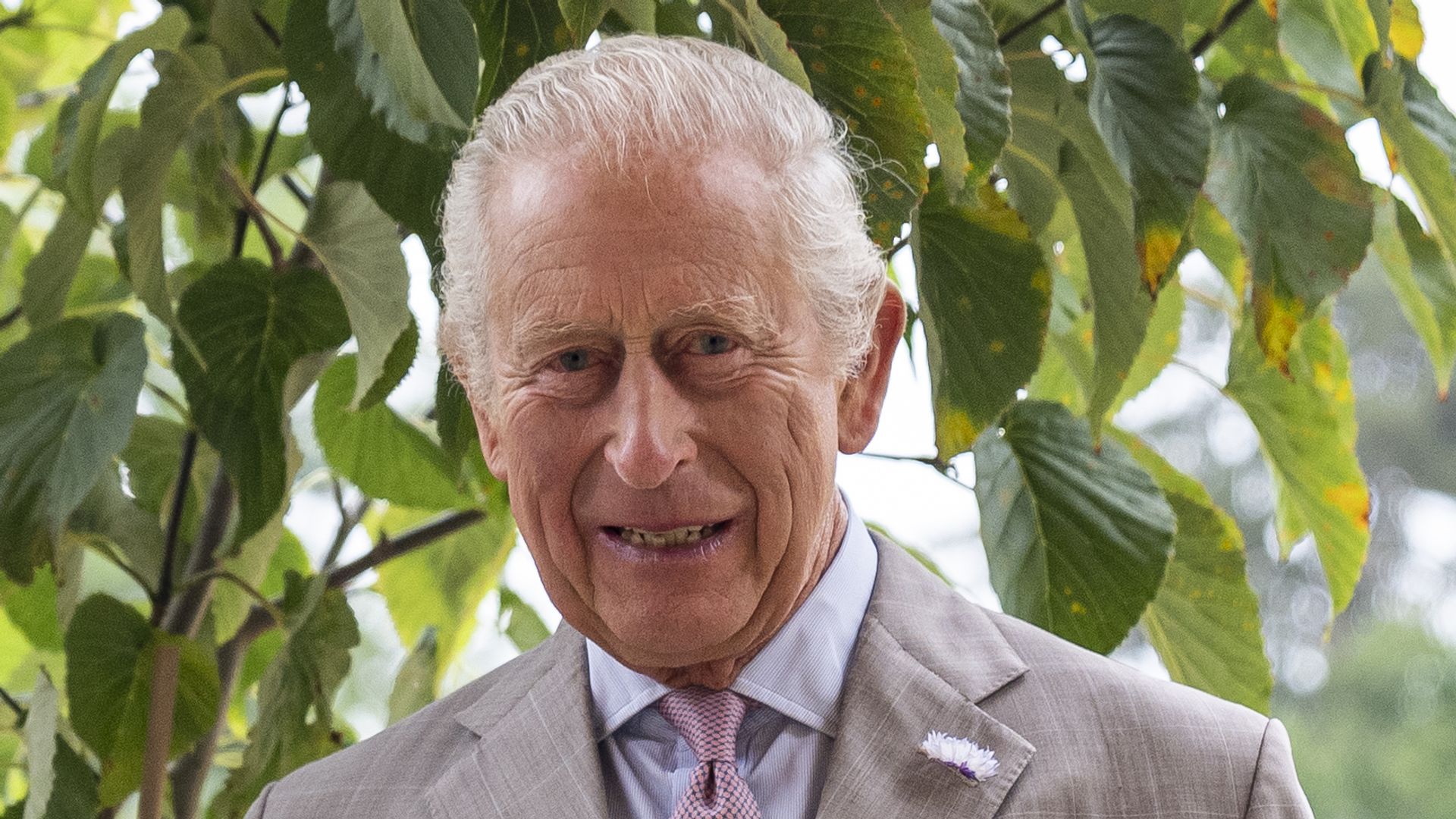 King Charles unveils 'enchanting' views at Sandringham home during ...