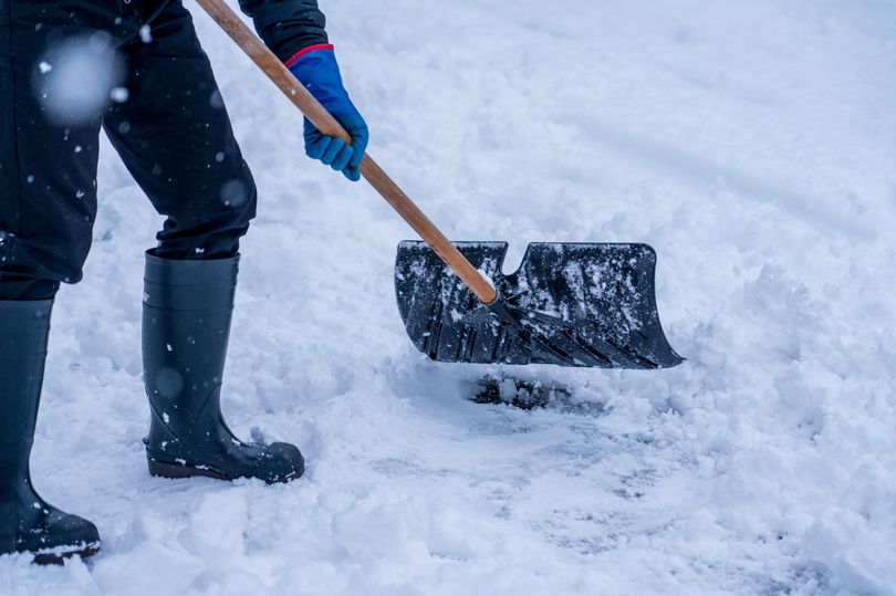 Winter warning to artificial grass owners as mistakes could cost thousands