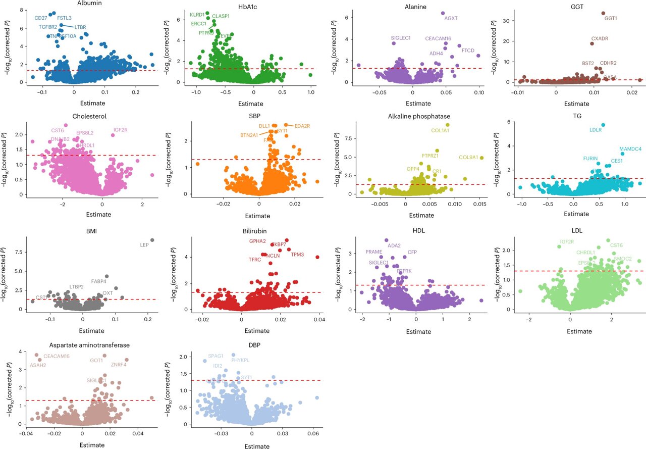 Mapping proteins in African genomes reveals new paths to fight type 2 ...