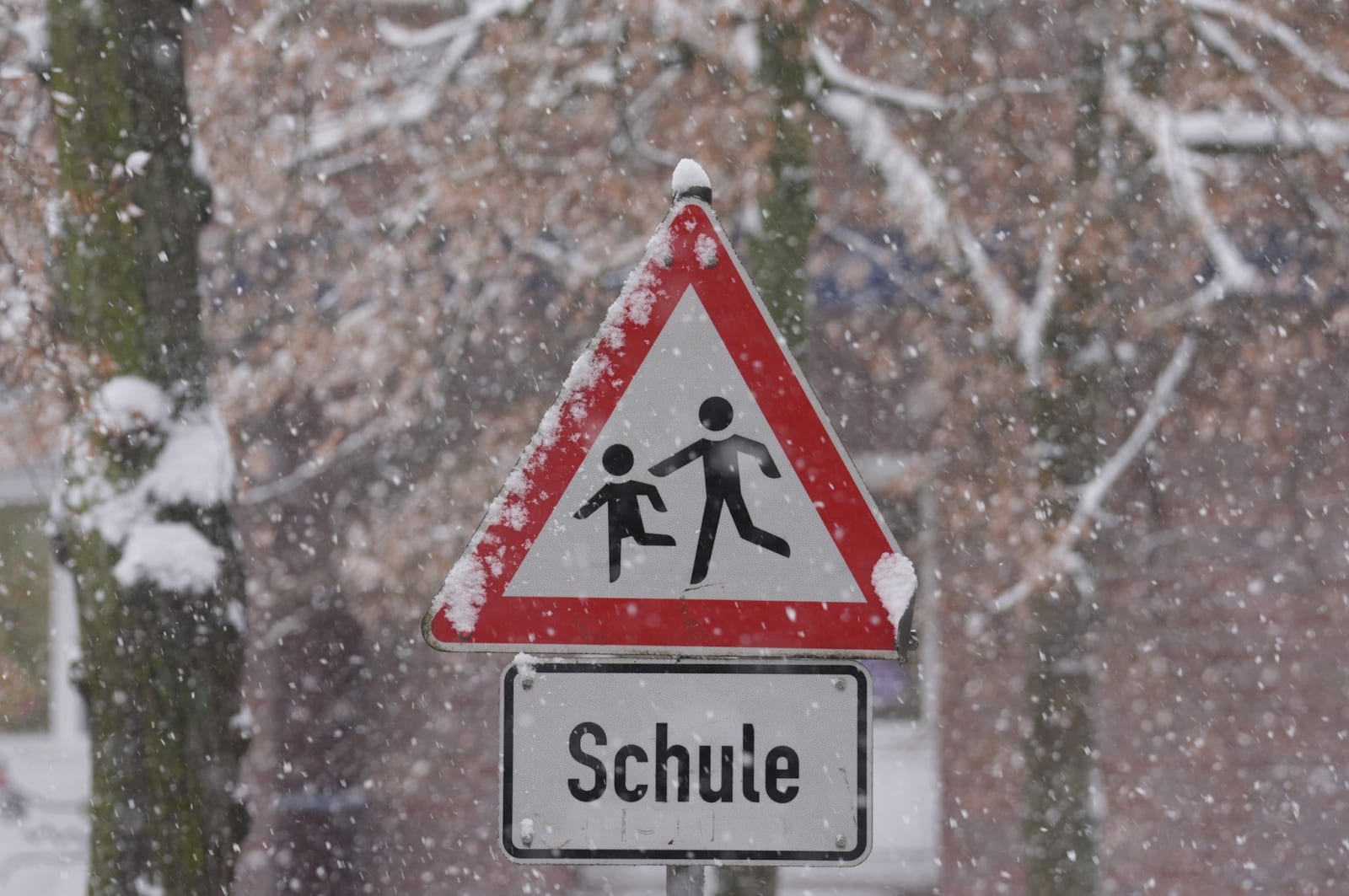 Schools close as Germany set to be hit by major winter storm