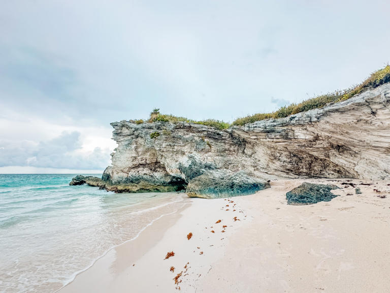 Exploring the Discovery Nature Trail at Disney’s Lookout Cay