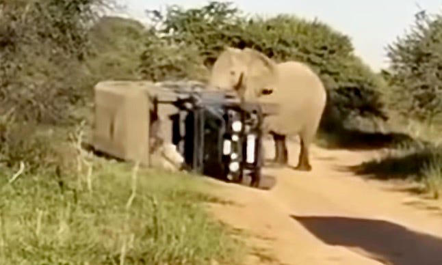 Watch: Angry elephant tips over safari vehicle; were rangers to blame?