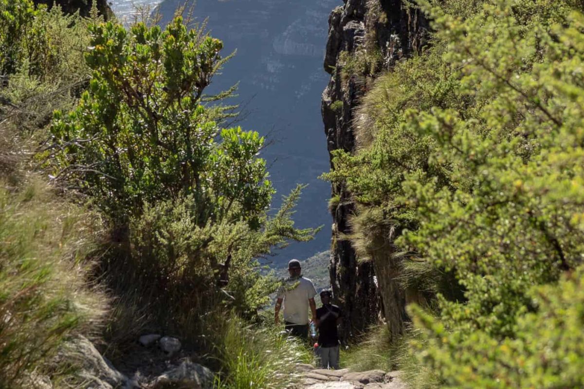 SANParks saddened by death of BASE jumper in Table Mountain National Park