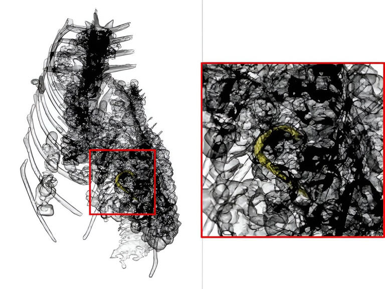 Scientists just discovered what’s inside a 3,000-year-old, perfectly ...