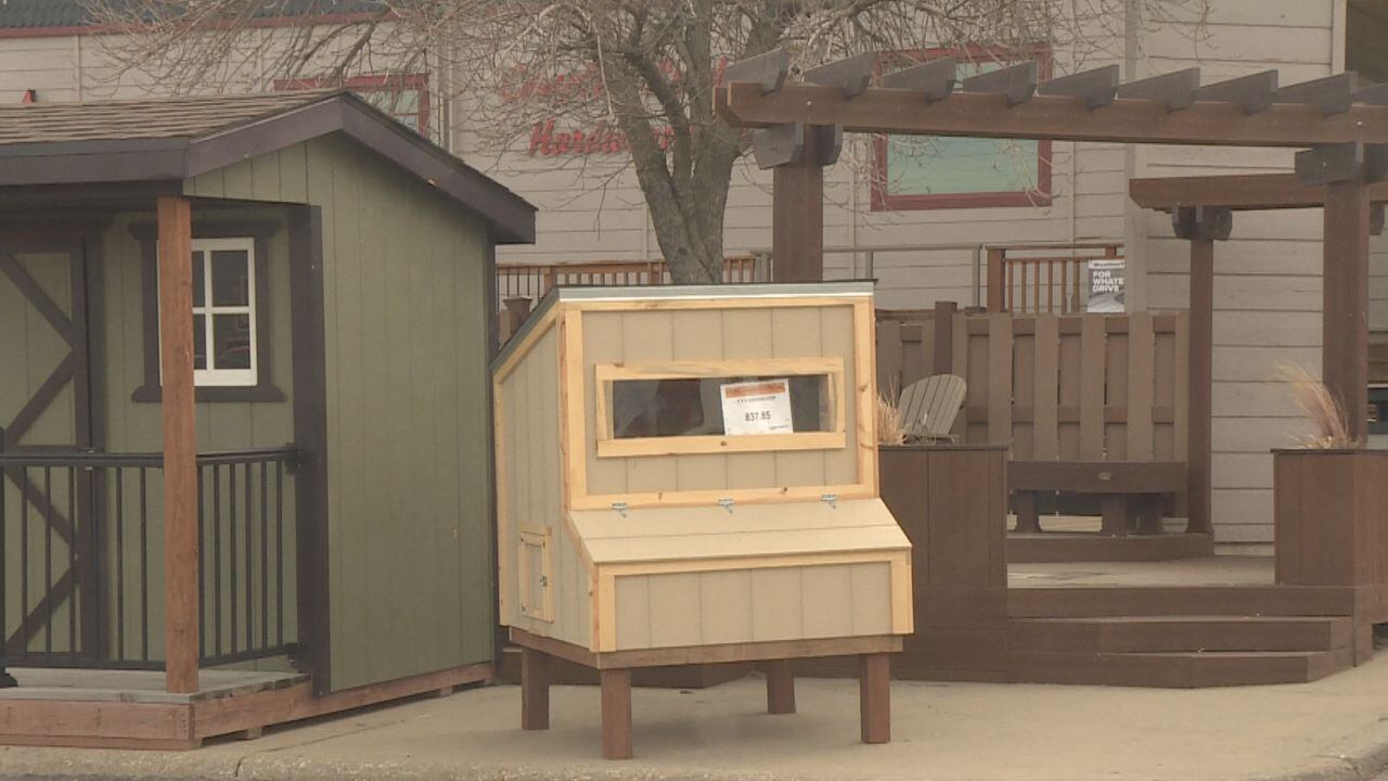 Rapid City residents push for backyard chicken ordinance
