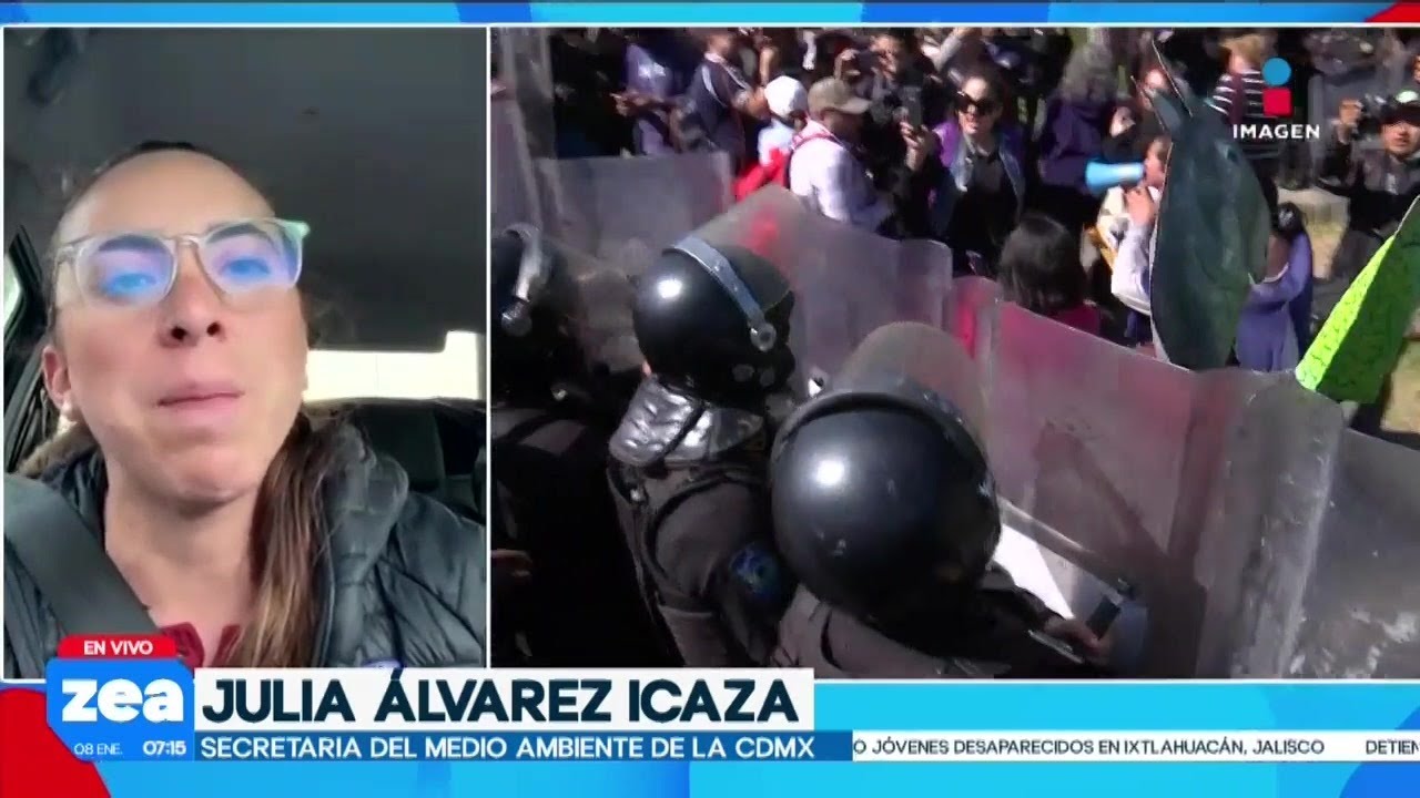 Aseguran que perritos desalojados del Refugio Franciscano presentaban ...