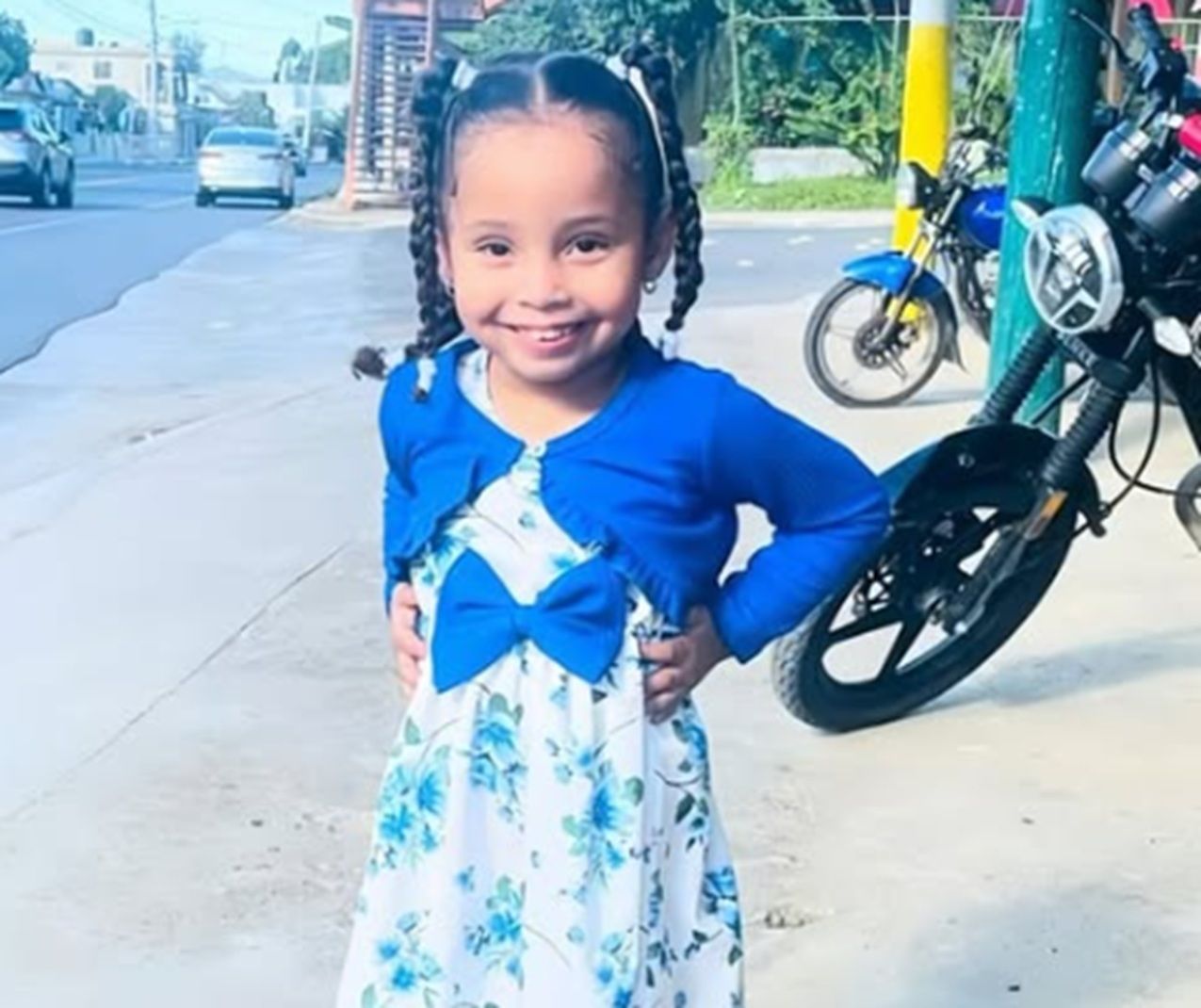 La niña dominicana Brianna Genao, de 3 años, desapareció el 31 de ...