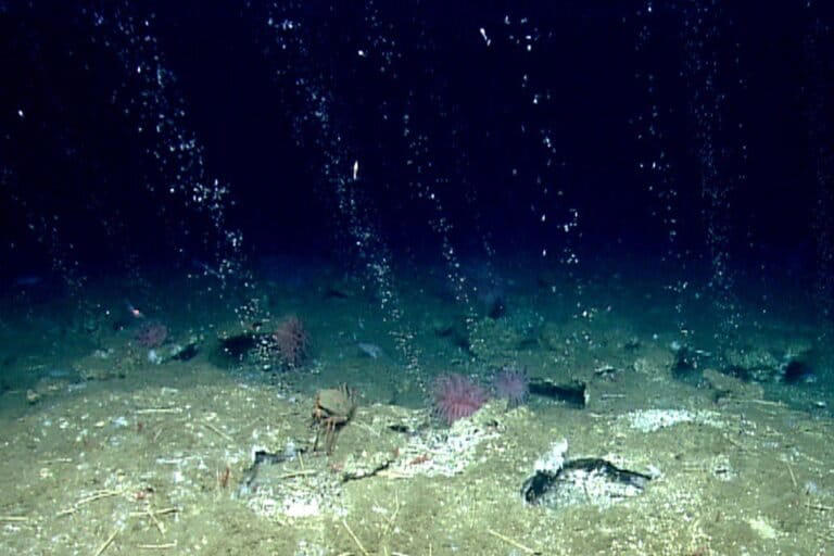 Methane chasers: Hunting a climate-changing gas seeping from Earth’s ...