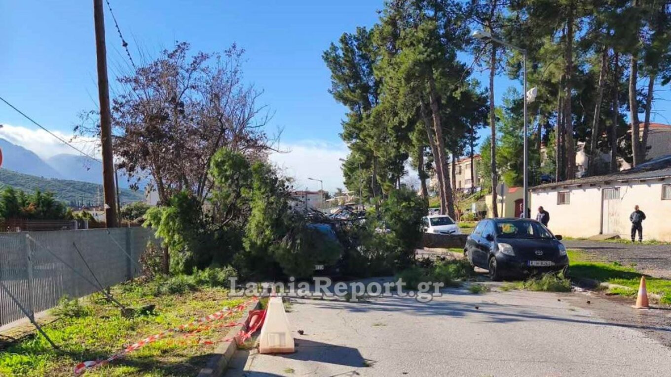 Στη Λαμία τους πήρε και τους σήκωσε! ΒΙΝΤΕΟ