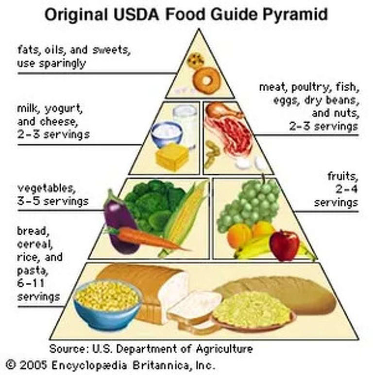RFK Jr.'s new food pyramid prioritizes meat, diary and vegetables. See ...